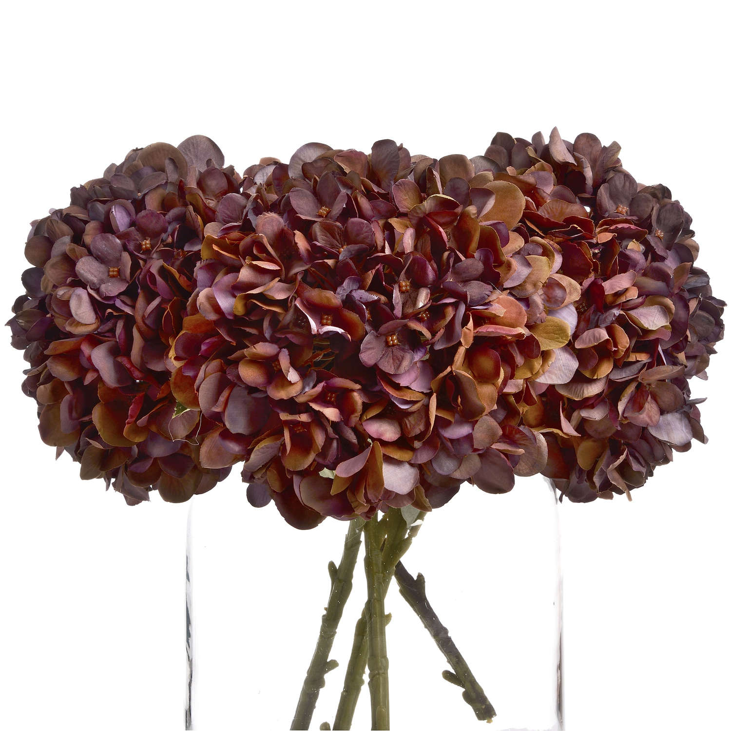 Gower Home Luxury Anastasia Coffee Hydrangea